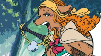 Mangá 805 | One Piece Ex