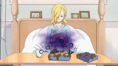 Episódio 804 | One Piece Ex