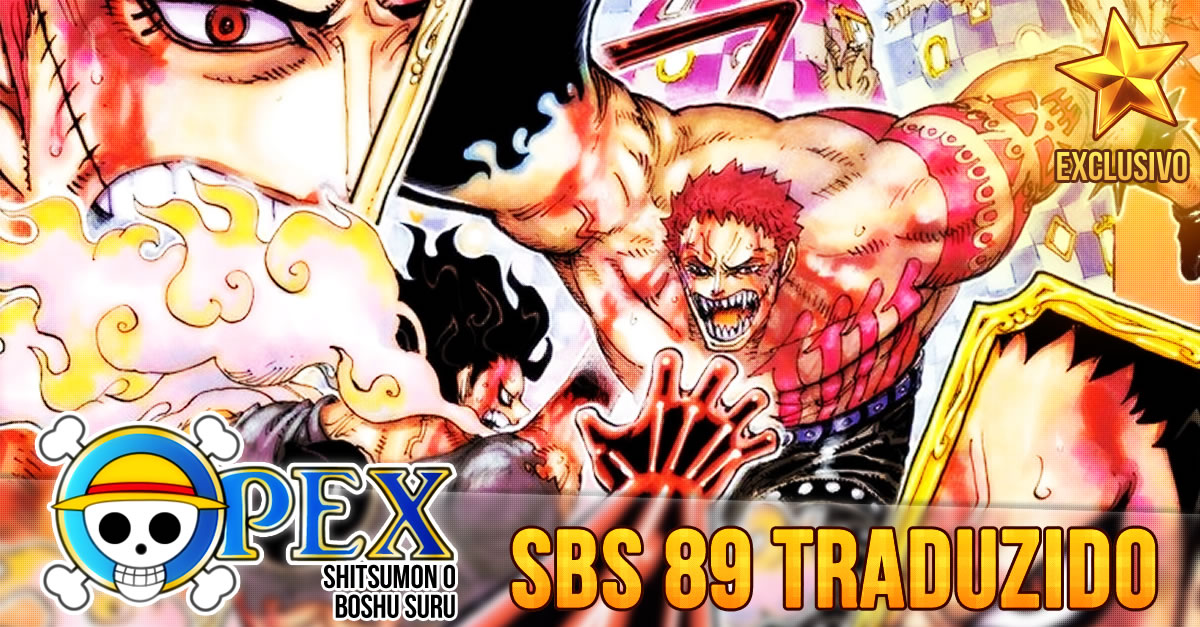 SBS 89 Traduzido – Veja Luffy e Ace com 40 e 60 anos | One Piece Ex
