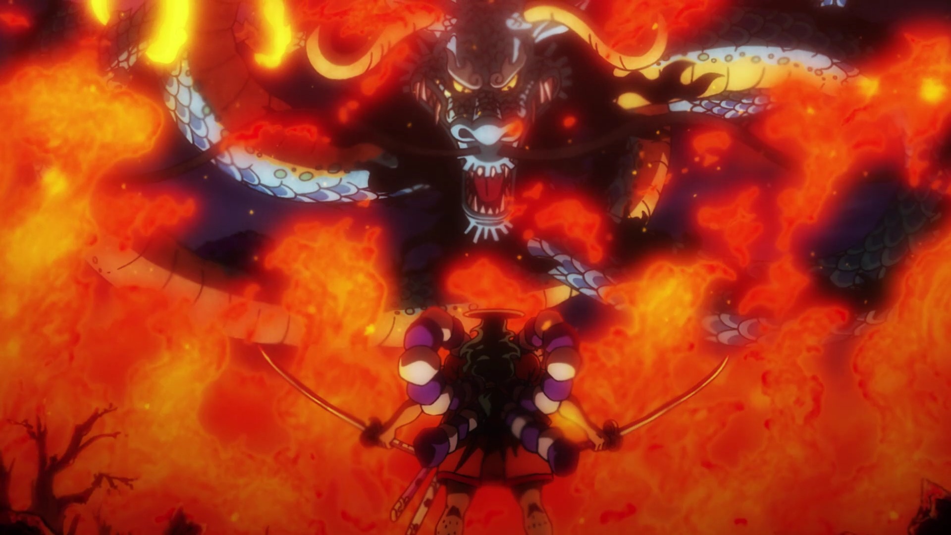 Episodio 972 | One Piece Ex
