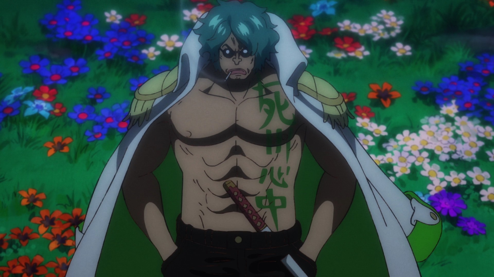 Episodio 1081 | One Piece Ex